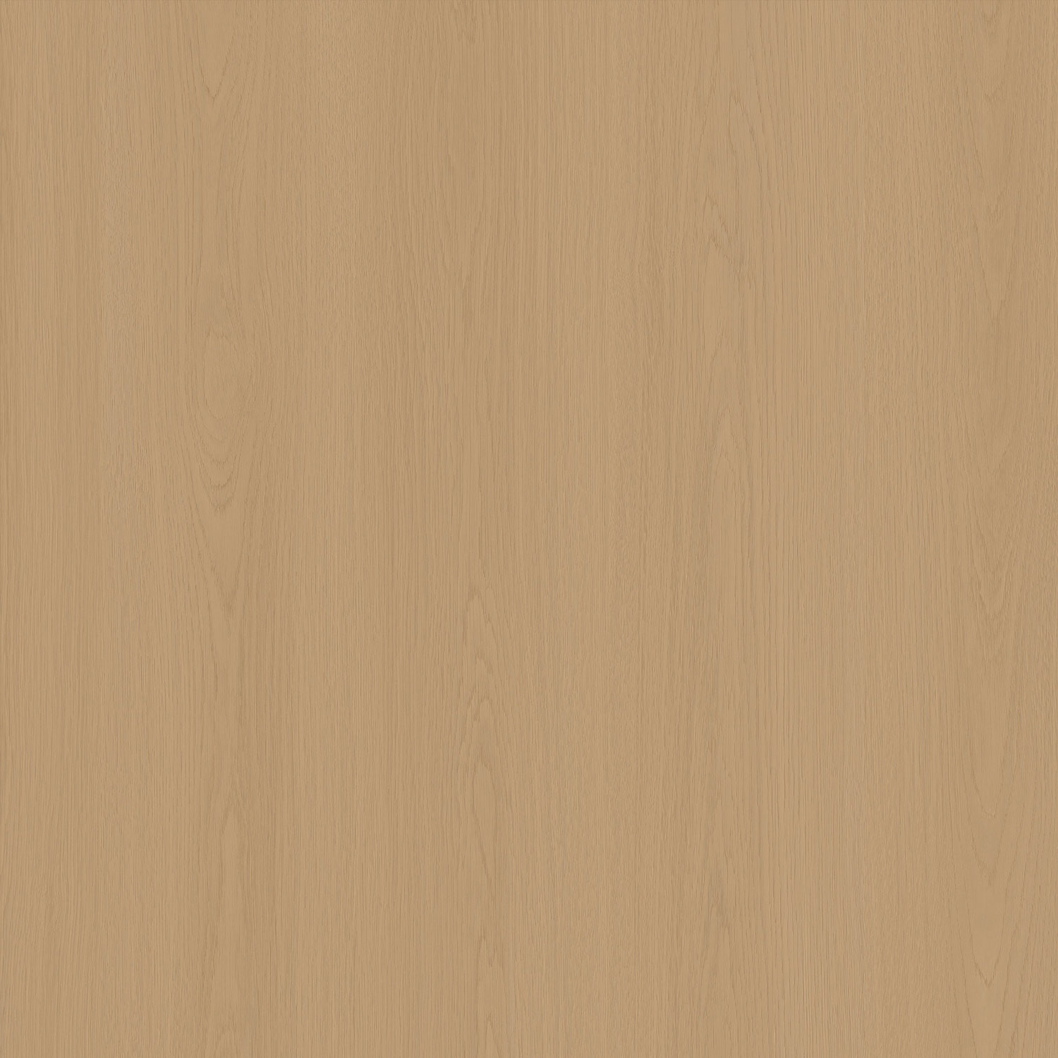 AG4866 Golden Neville Oak