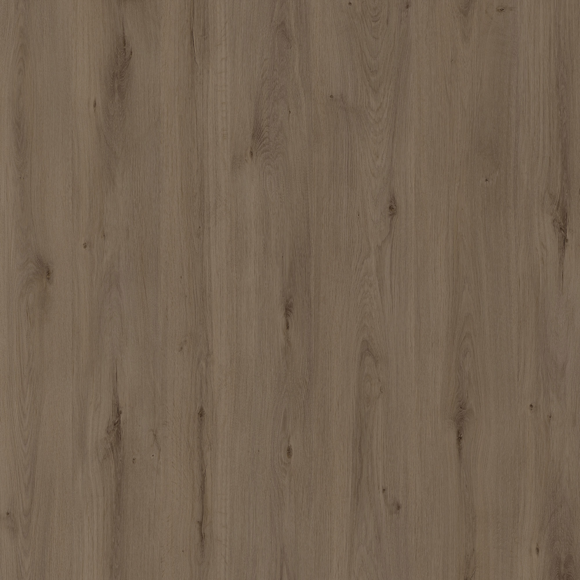 AG4842 Ligth Coffee Davos Oak