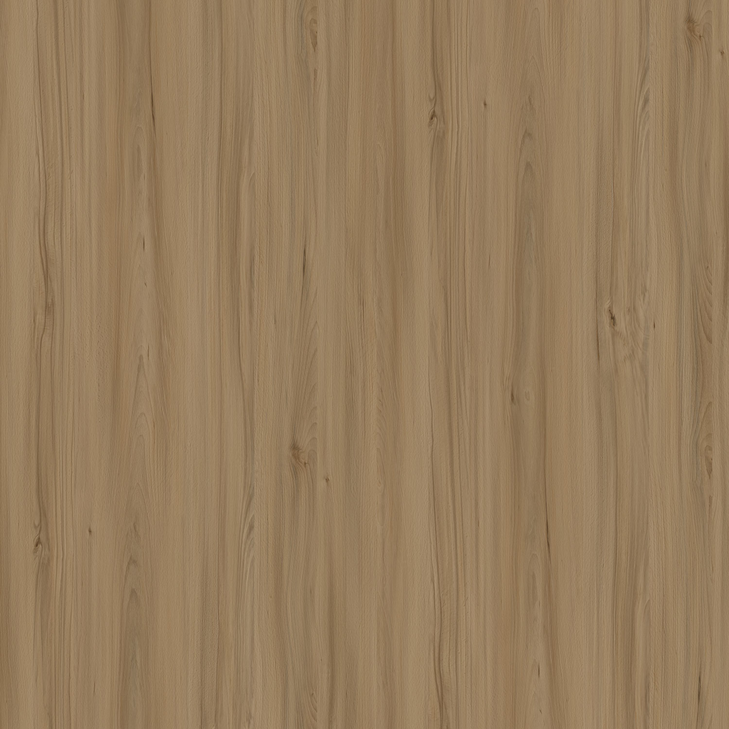 AG4528 Golden Beech Wood